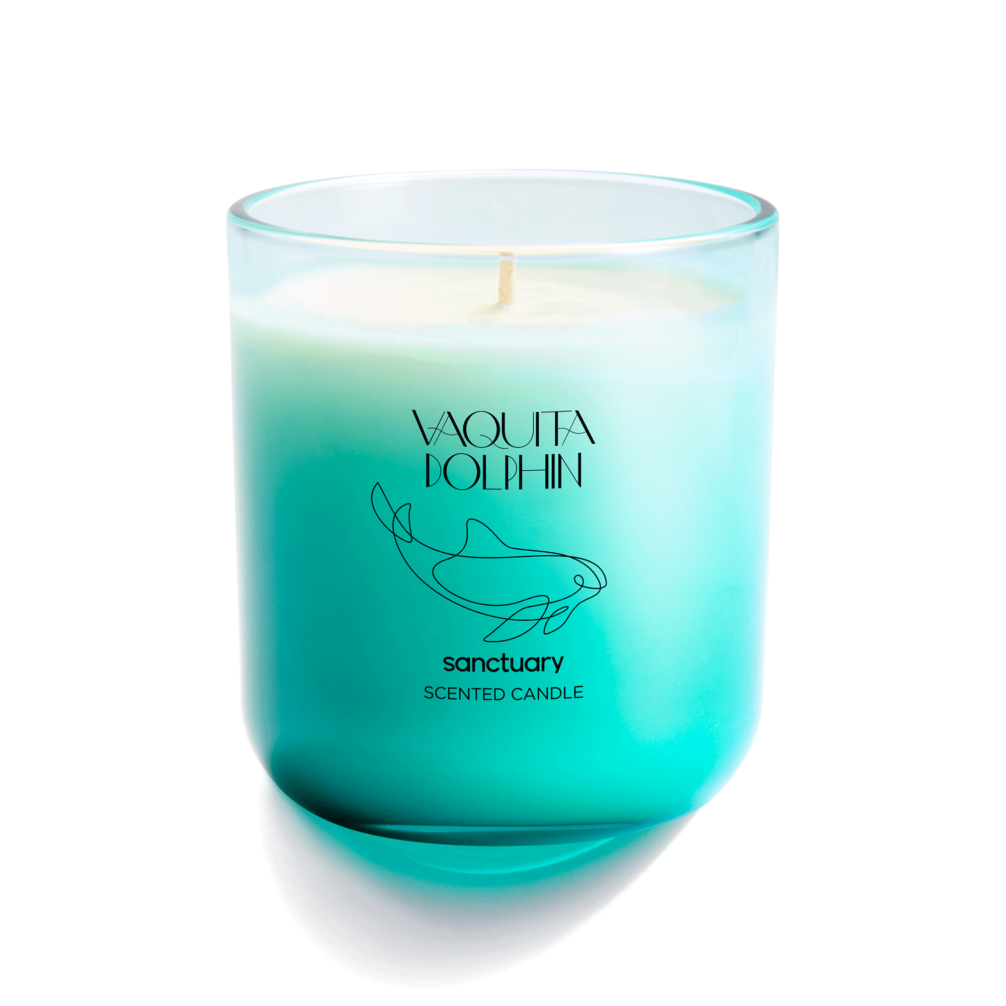 Vaquita Dolphin Candle – Sanctuary