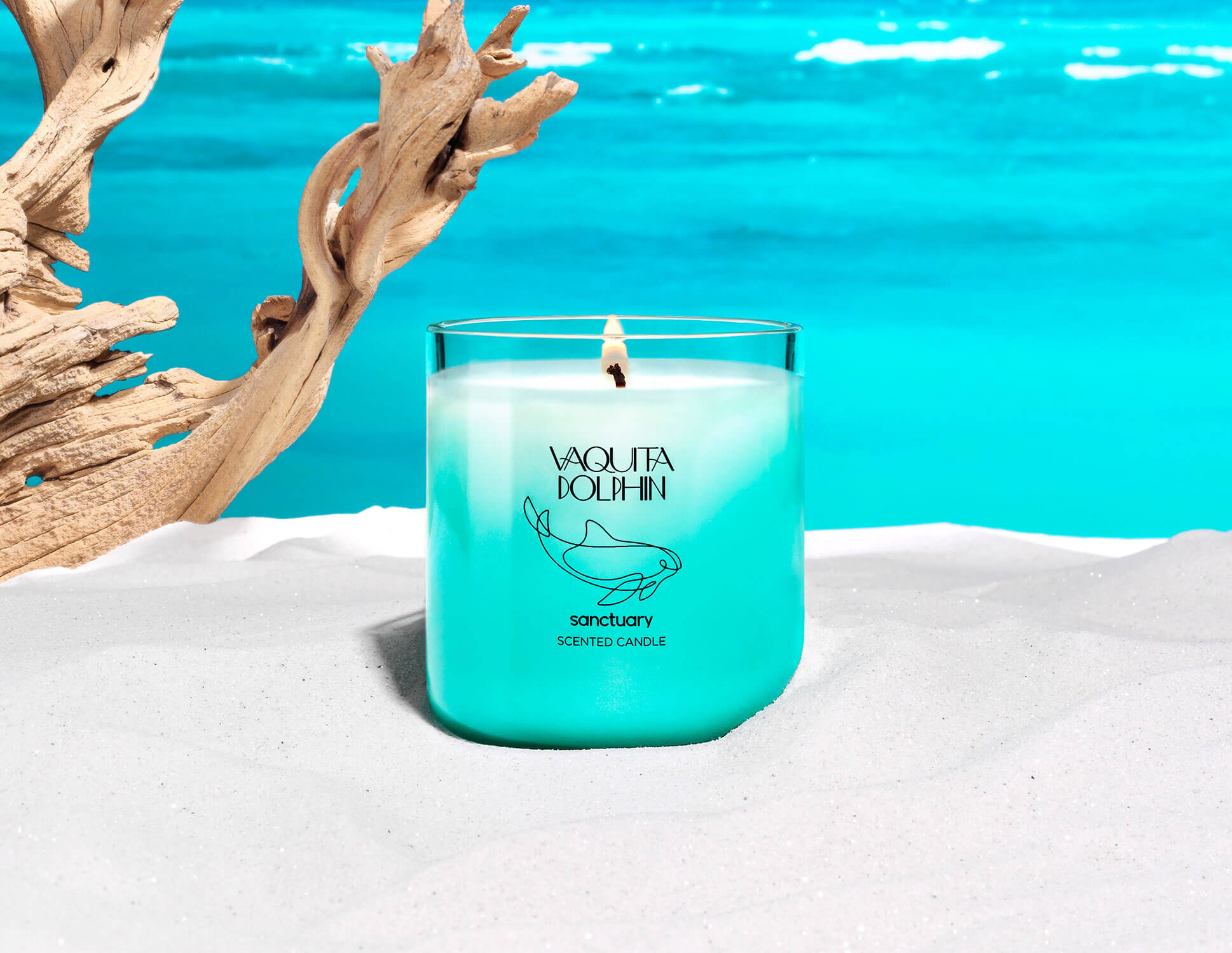 Vaquita Dolphin Candle – Sanctuary
