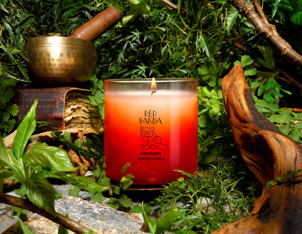 Red Panda Candle – Sanctuary