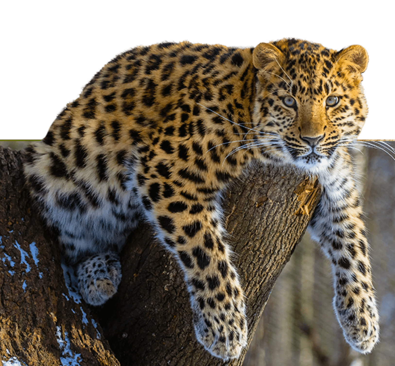 Charities, Donations - Our World, Our Sanctuary