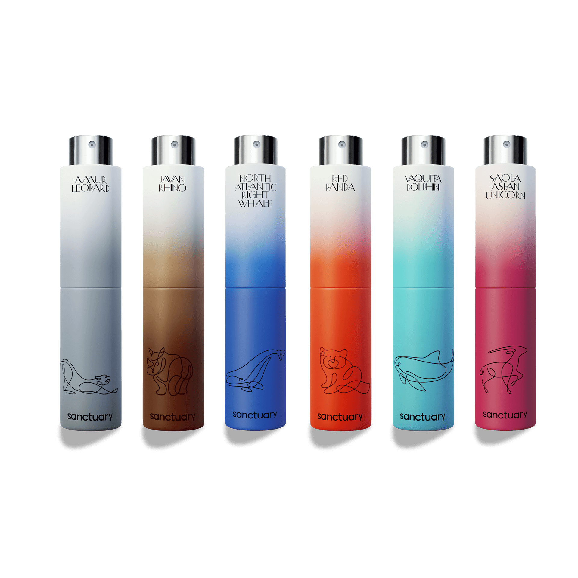 Sanctuary Discovery Kit