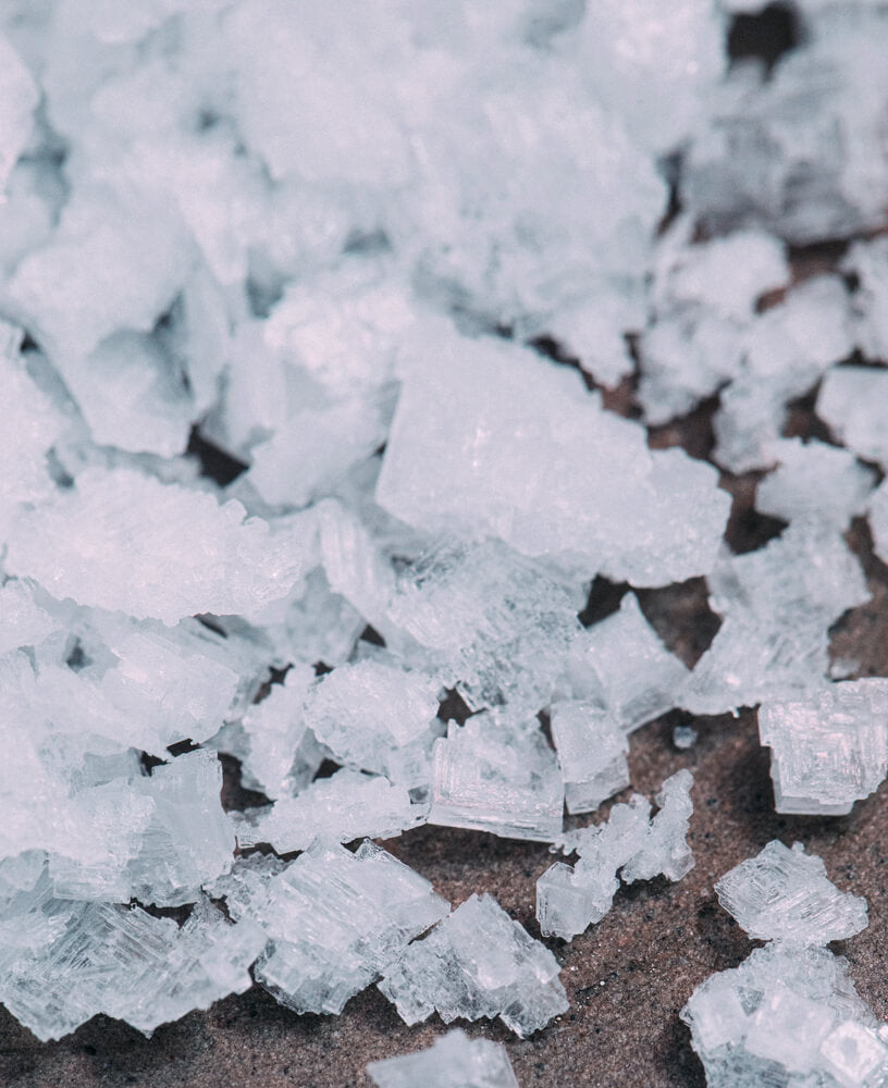 Vaquita Dolphin, Waterlily, Sea Salt & Pear Perfume - Sanctuary