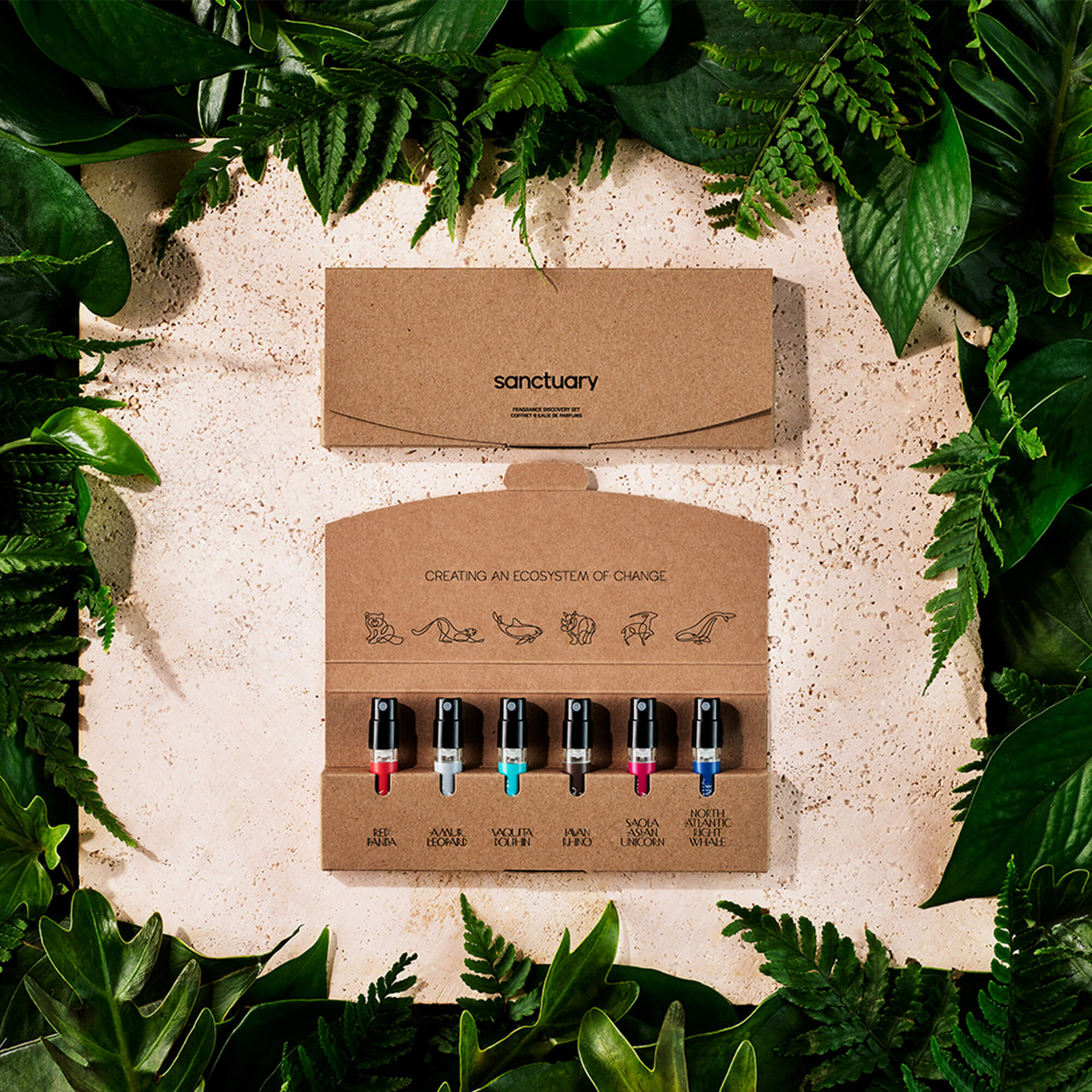 Sanctuary Discovery Kit